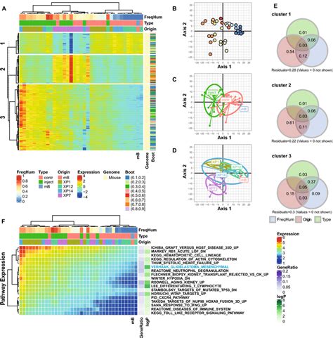 Effect Of Tumor Invasion On The Mouse Brain Transcriptome Mouse Gene Download Scientific