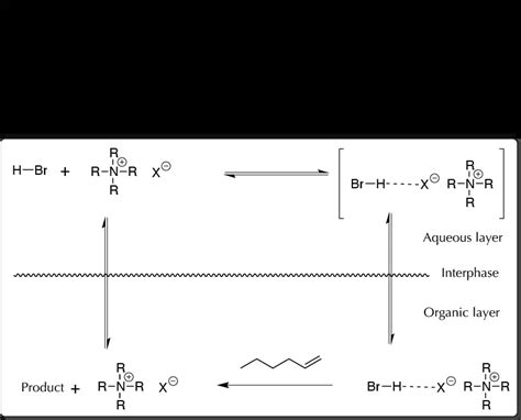Microscale Synthesis Of 2 Bromohexane Chemistry Online