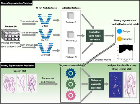 Binary Semantic Segmentation For Detection Of Prostate Adenocarcinoma