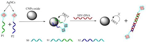 The Schematic Sensing Module For The Sensing Of Human Immunodeficiency