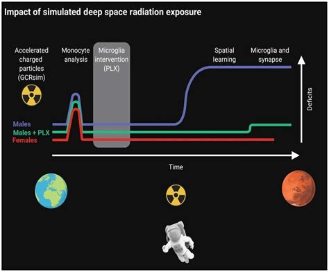 Impact Of Simulated Deep Space Radiation Exposure Alluvial Diagram To Download Scientific
