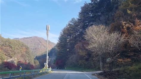 20231030정선화동초등학교가는길에만난가을풍경 Youtube