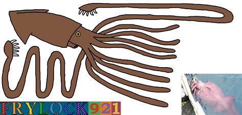 Colossal Squid By Frylock On DeviantArt
