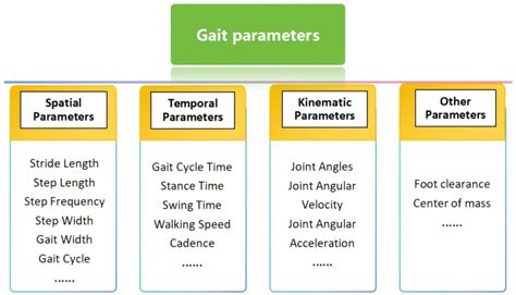 A Comprehensive Review Of Vision Based Sensor Systems For Human Gait Analysis Pmc