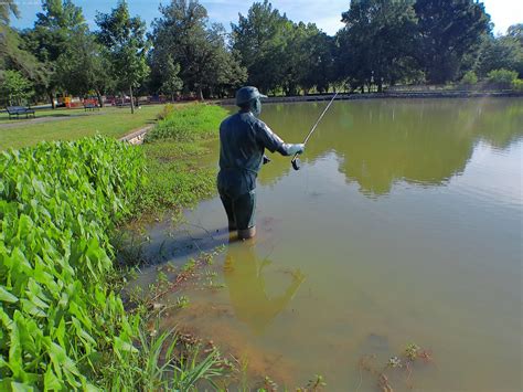 Assignment1part1 Flickr