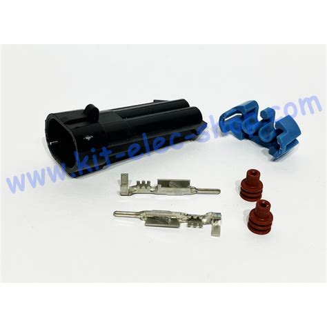 Delphi Metri Pack 150 2 Position Male Connector Pack With 2 Male Contacts