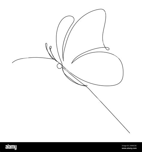 Continuous One Line Butterfly Flying Single Line Outline Art Drawing Illustration Stock Vector