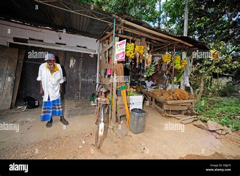 Old Man Sri Lanka Hi Res Stock Photography And Images Alamy