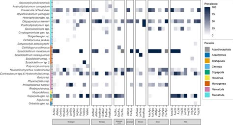 Matrix Of Parasite Prevalence Per Host And Lake Dark Colors Represent
