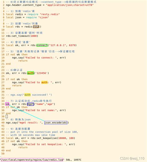 Openresty十四openresty通过lua操作redisopenresty Redis Csdn博客