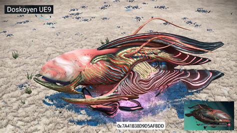 NMS LivingShipLibrary