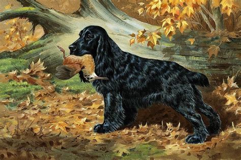 English Cocker Spaniel Wallpaper Wall Mural Self Adhesive Multiple Sizes