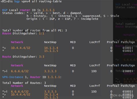 【hcie】mpls Vpn 防环特性 Soompls Soo Csdn博客