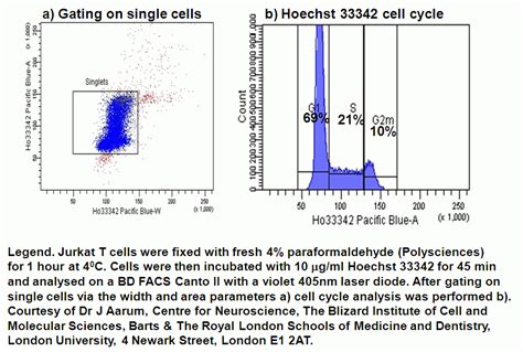Cell Cycle Flow Cytometry Atelier Yuwa Ciao Jp