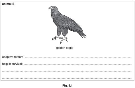 Igcse Biology 0610 182 Adaptive Features Igcse Style Questions Paper 3 Igcse Biology 0610 182 Adaptive Features Igcse Style Questions Paper 3