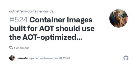Container Images Built For Aot Should Use The Aot Optimized Images By Default · Issue 524