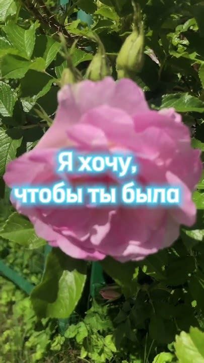 письмо папа счастье дочь семья Письмо папы своей дочери Youtube