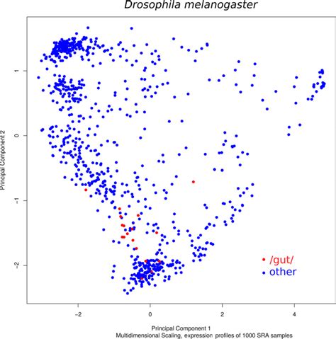Expression Diversity Multidimensional Scaling Plot Of The Expression