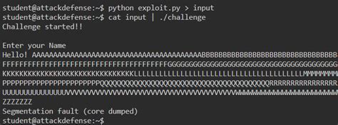 Premium Lab Buffer Overflow — Unsafe Input Functions By Shivam