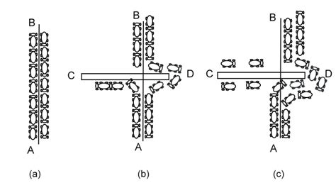 Behaviour Of The Ants Searching The Food Download Scientific Diagram