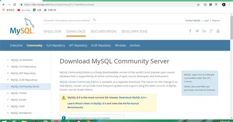 在Windows上安裝MySQL Community Server