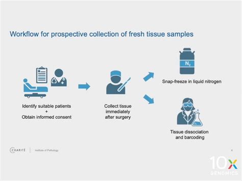 A Pathologists Perspective Advantages Of Using Ffpe Tissues For Single Cell Analysis