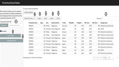 A Musa Data Solution Enhancing Data Collection And Display With Pyshinydatatable