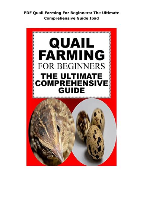 Pdf Quail Farming For Beginners The Ultimate Comprehensive Guide Ipad