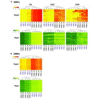 A Hierarchical Clustering Heatmap Analysis A Heat Maps Of DMPs For