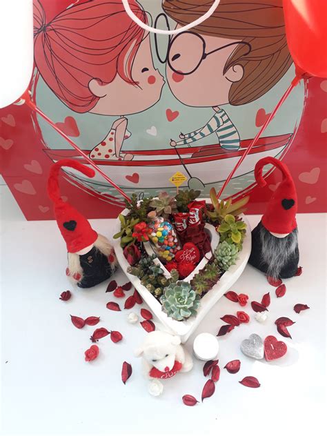 پک ولنتاین قلب سنگی ژمینو کاکتوس