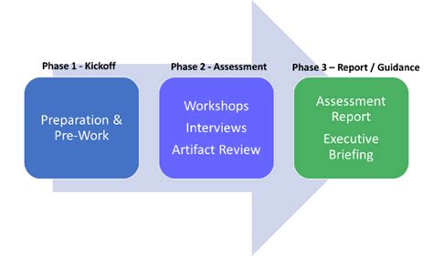 Data Professional Introspective Conducting A Dcam Assessment
