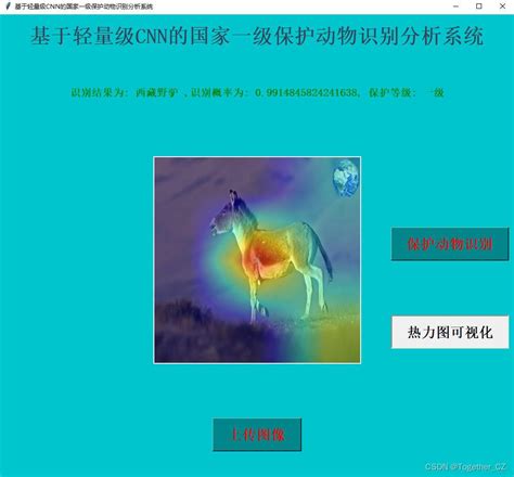 keras搭建轻量级卷积神经网络CNN开发构建国家一级保护动物识别分析系统集成开发GradCAM实现热力图分析可视化 grad cam热力图keras CSDN博客
