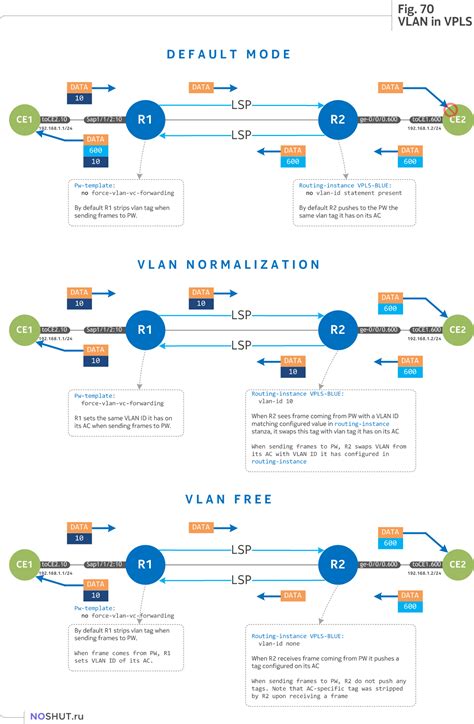 Bgp Vpls Deep Dive Nokia Sr Os And Juniper Applying Devops To Networks