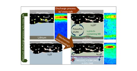 Insights Into The Interconnection Of The Electrodes And Electrolyte Species In Lithium Sulfur