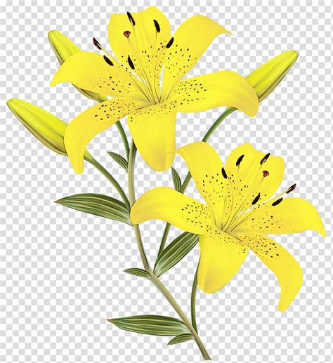 Easter Lilies Border Clip Art