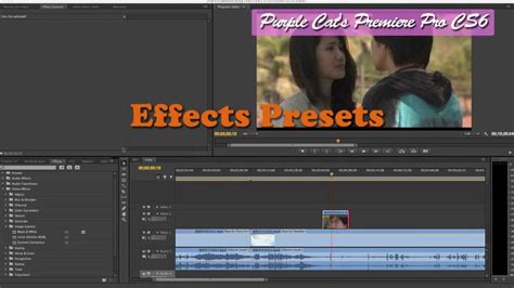 퍼플캣 프리미어 프로 cs6 강좌28 이펙트 프리셋 활용법 youtube