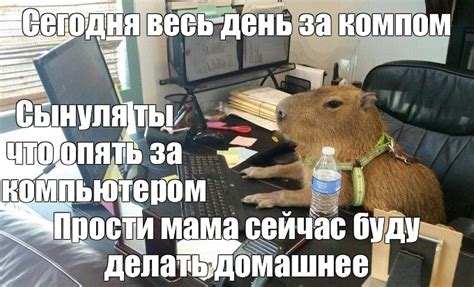 Мем Сегодня весь день за компом Сынуля ты что опять за компьютером Прости мама сейчас буду