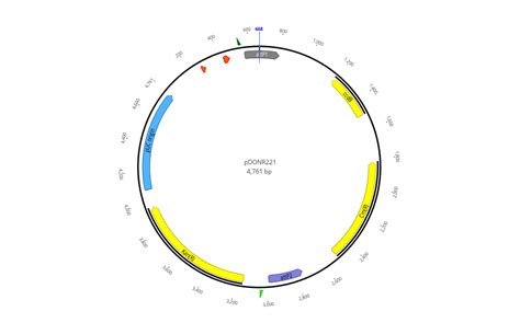 Single Site Gateway Cloning Geneious
