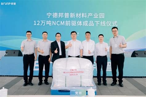 年产12万吨宁德邦普三元前驱体全线达产 中国纳米行业门户