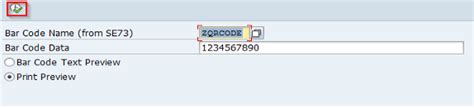 How To Create And Print The Qr Code In Sap Scripts Sap Community