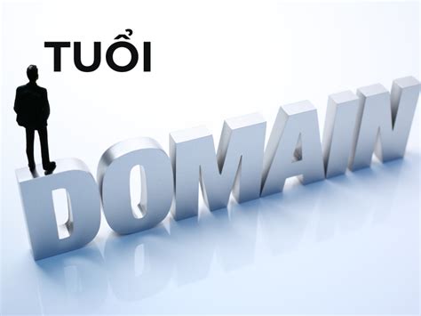 Tuổi Domain Là Gì Cách Kiểm Tra Tuổi Tên Miền đơn Giả Cloud Vps