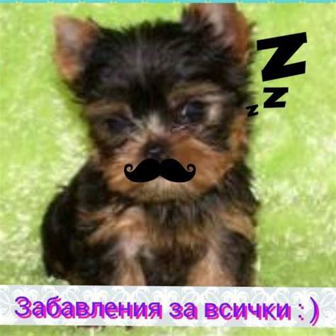 Забавления за всички