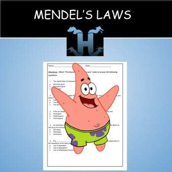 MENDEL S LAWS VIDEO GUIDE By Quentin Babenton TPT