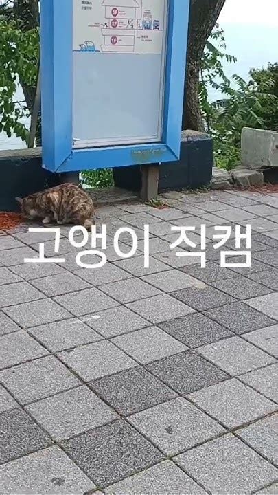 3초의 기적 Youtube