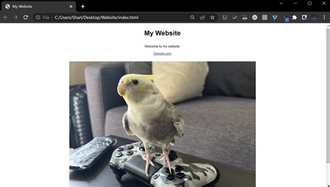 What Is The Difference Between A Relative And Absolute Url