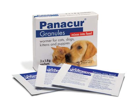 Panacur For Dogs What Does It Treat
