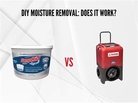 Pros Cons Of DIY Moisture Removal Does It Work PuroClean Of New Port Richey