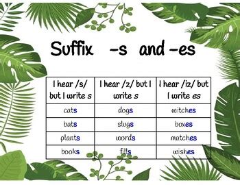 Suffix S And Es By Daniela Mouradian TPT