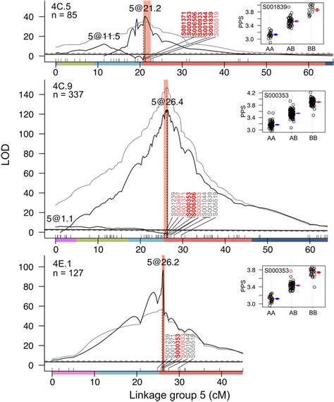 Lod Profiles Of The Final Multiple Qtl Mapping Models Mqm Shown In Download Scientific