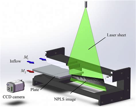 Schematic Of The Experimental Model And Npls System Download